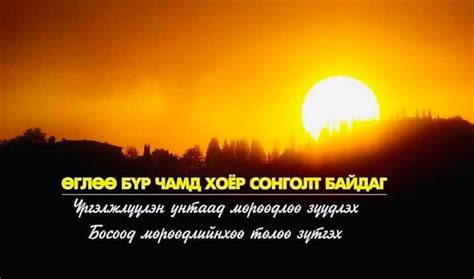 Эрдэнэт Катарсис 95347788 Аура энерги цус шүүх озон эмчилгээ