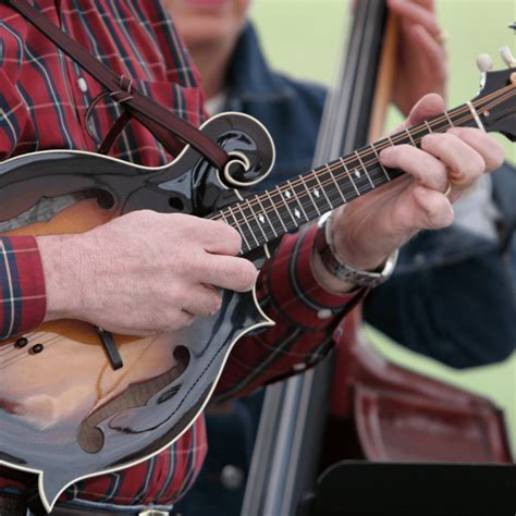 Mandolin String Notes Mastering The Basics For Beginners Teds List