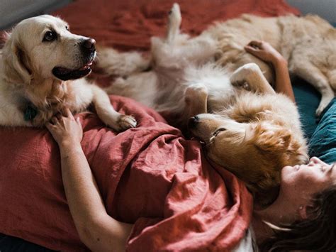 50 Unbelievable Benefits Of Napping Ultimate Guide 2023