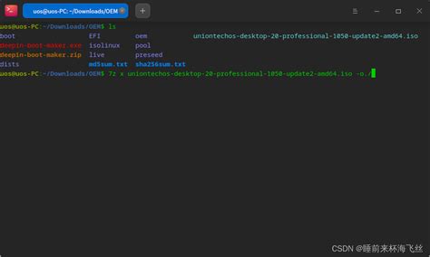 Uos桌面操作系统定制镜像（上）uos桌面操作系统定制镜像 Csdn博客
