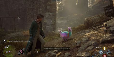 Hogwarts Legacy Where To Find Diricawls