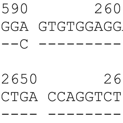 Alignment Of The Sequence Of Exon 3 Of Hla‐c16184 With The Sequence Download Scientific