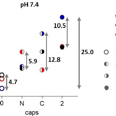 Dependence Of The Triple Helix Melting Temperature T M Values As