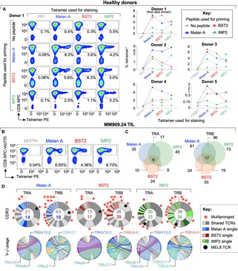 Targeting Of Multiple Tumor Associated Antigens By Individual T Cell Receptors During Successful