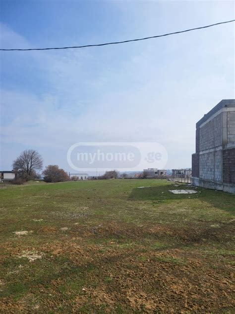 იყიდება სასოფლო სამეურნეო მიწის ნაკვეთი ტაბახმელაში Myhome უძრავი ქონების ყიდვა გაყიდვა