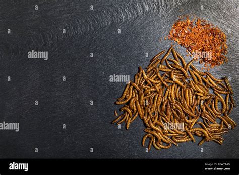 Flour Worm With Chili Fried Salty Worms Baked Worms Healthy Diet