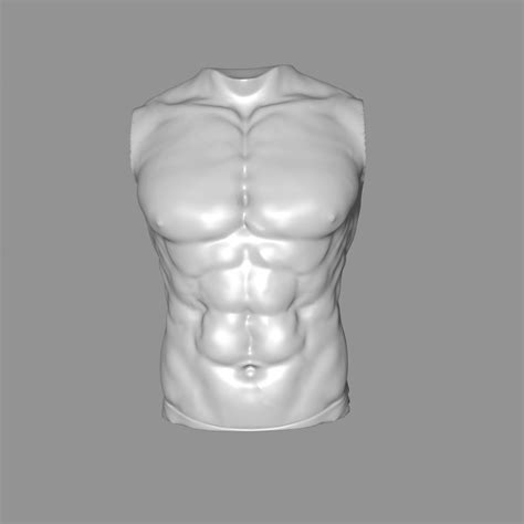 Man Torso D Model Max Fbx Obj Free D
