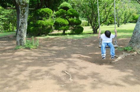 Hanako Web