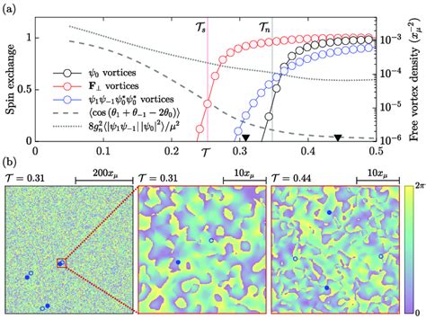 A Right Axis Free F ⊥ Vortices Proliferate For T T S Red