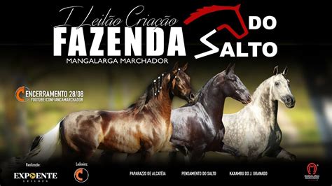 I Leil O Haras Fazenda Do Salto Youtube