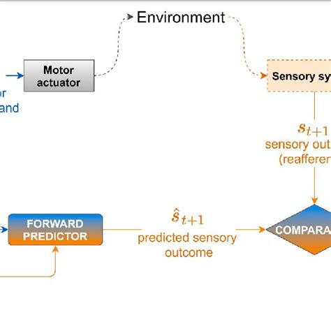 The Comparator Model This Model Explains The Sense Of Agency As Download Scientific Diagram
