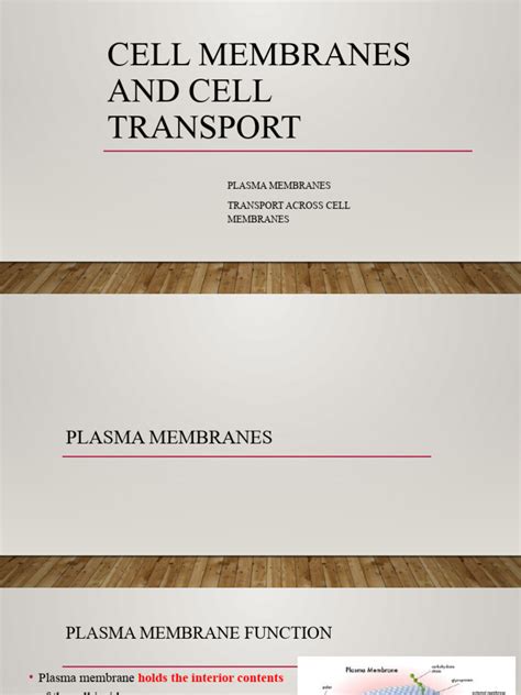 Cell Membranes And Transport Pdf Cell Membrane Osmosis