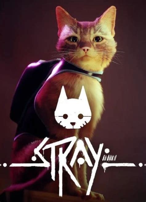 Stray — Что за игра, дата выхода, системные требования и сюжетные детали