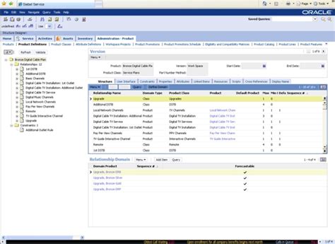 Oracle Siebel Crm Kurs Special 2016