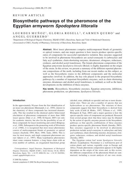 Pdf Biosynthetic Pathways Of The Pheromone Of The Egyptian Armyworm