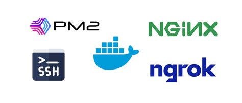 NGROK Multiple Tunneling Exposing Local VM Into Public Nopedawn
