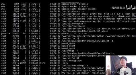 （程序员鱼皮短视频整理）小白速学linux用户中心 鱼皮 Csdn博客