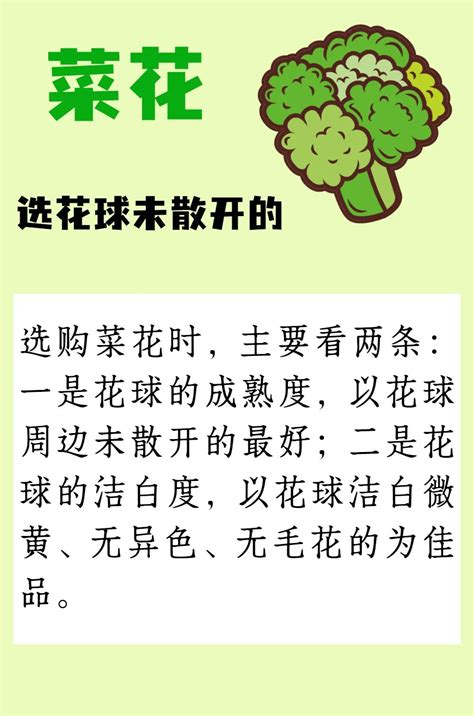 新鲜的蔬菜更健康这几个挑菜技巧帮你买到优质菜