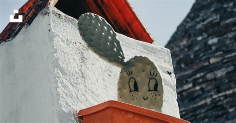 하얀 건물 꼭대기에 앉아있는 화분에 심은 선인장 사진 Unsplash의 무료 이탈리아 이미지