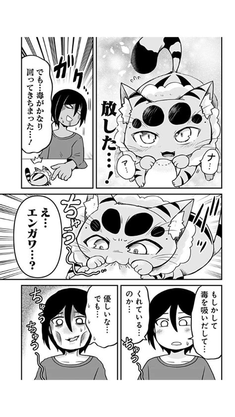 猫みたいな毒グモに噛まれる話