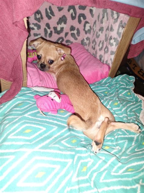 Princess Hazel On Tumblr