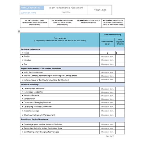 Team Performance Assessment Project Management Templates