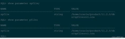 Spfle Sga Gpga M Spfile Csdn