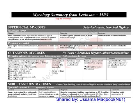 Solution Mycology Notes From Levinson Microbiology Mycology Short