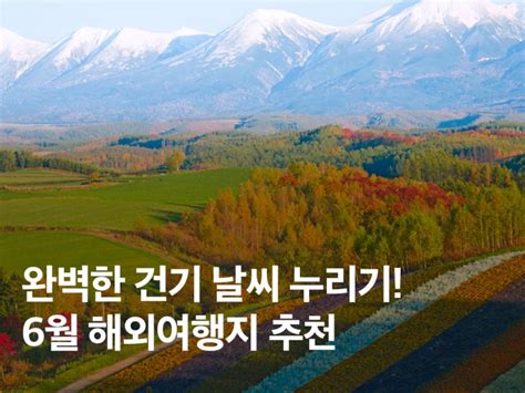 건기 검색결과 Zum 허브