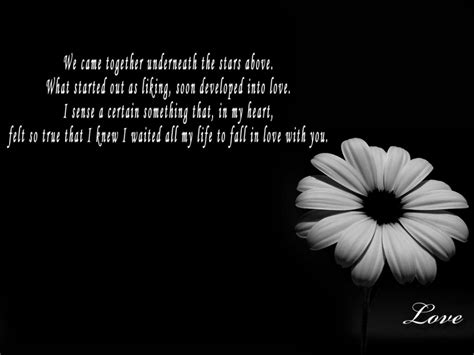 White Flower Quotes Quotesgram