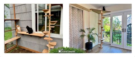 Cat Spiral Staircase Diy Plan Catio Spaces