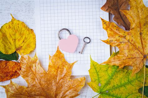 단풍에 사랑의 메시지 흰색 배경에 노트북과 하트 모양의 자물쇠를 깨끗이 정리합니다 복사 공간 0명에 대한 스톡 사진 및 기타 이미지 Istock