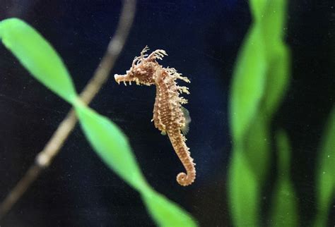 Biological Science Rejects The Sex Binary Realclearscience