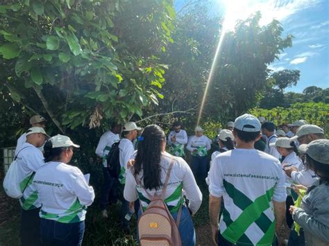 Turmas Dos Cursos Técnicos De Fruticultura E Agricultura Do Polo De