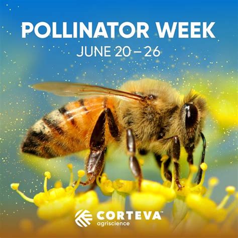 Baraceanu Marius Posted On Linkedin