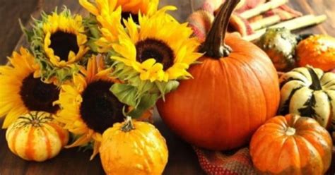 Ако сте Рак Скорпион и Риби днес за вас ще бъде важно да постигнете успех в реализацията на