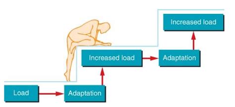 What Is Progressive Overload And Why Is It Important Lyzabeth Lopez