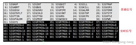 冰冰学习笔记：信号信号位图 Csdn博客