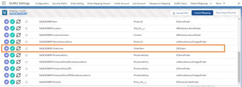 Synching Additional Order Details Fields From Salesforce To Sage 300 Erp Tips