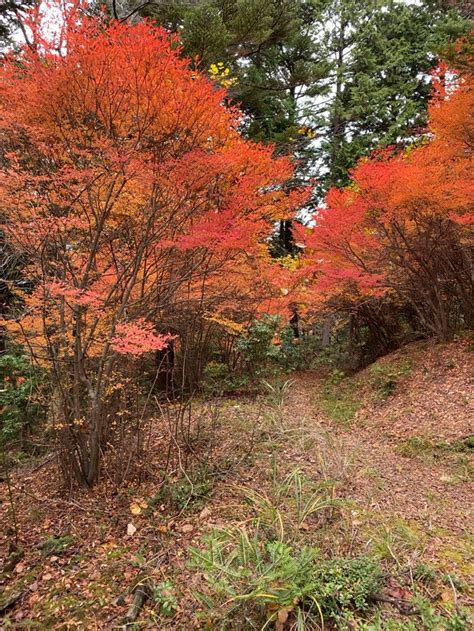 立雲峡の愛宕神社 竹田城跡のあるまち朝来市観光協会