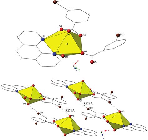 Top Polyhedral Representation Of Asymmetric Unit Of 1 Yellow
