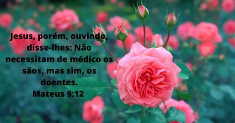 12 Versículos Da Bíblia Sobre Saúde