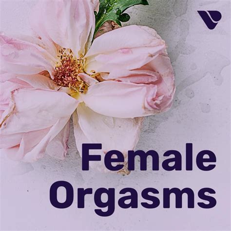 The Sexiest Asmr To Turn You On Artofit