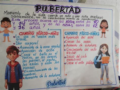 Pin De Naty G En Ciencias Salud Y Adolescencia Pubertad Pubertad Y