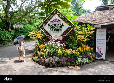 Tourist In Orchid Plants In National Orchid Garden Sign Singapore