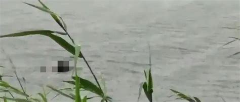 太原汾河惊现一具男尸救援尸体河面上