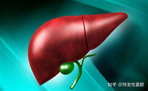 特发性震颤之肝风内动 知乎