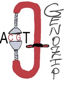 Genozip Compression For Fastq Bam Vcf