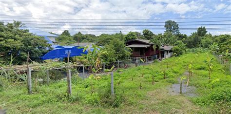 ที่ดินลวงเหนือ ดอยสะเก็ด เชียงใหม่ 200 ตารางวา ที่ดินร้อยแปด คอม