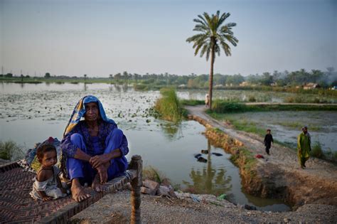 Wfp And Fao Sound The Alarm As Global Food Crisis Tightens Its Grip On